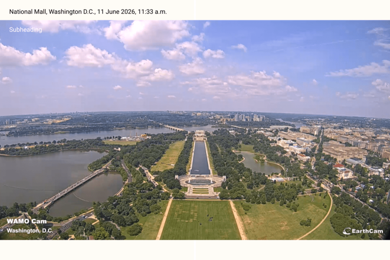 Live cam shows "8647" visible on National Mall hours before police arrive