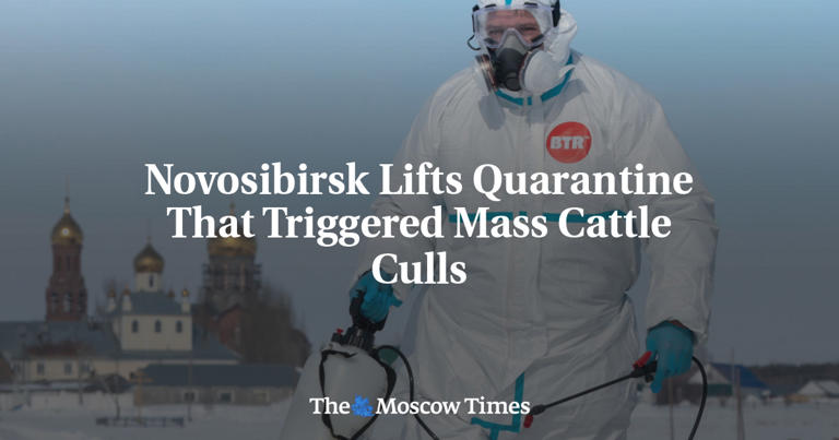 Novosibirsk lifts quarantine that triggered mass cattle culls
