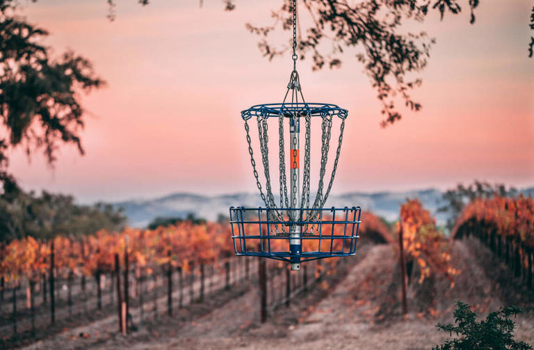 World's best winery disc golf course is in SLO County. See the popular spot