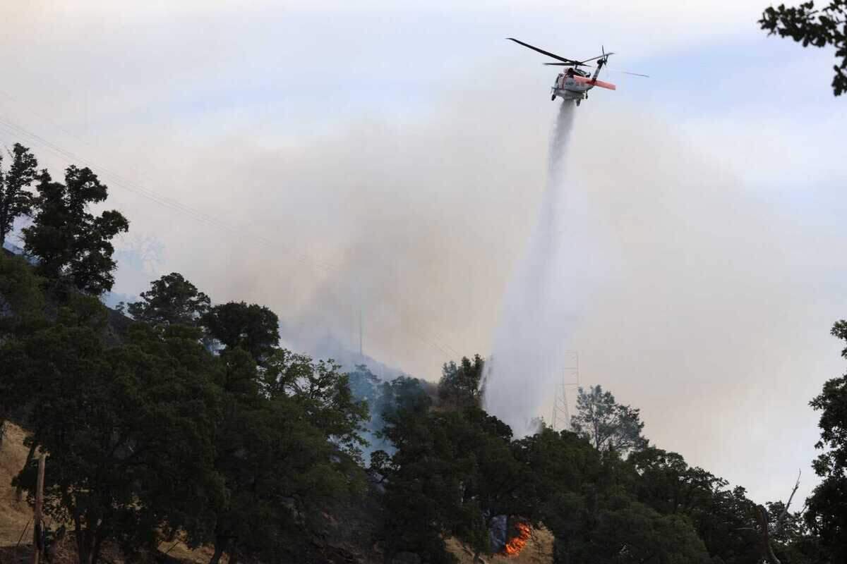 UC Davis study: Prescribed burns, forest thinning save billions but ...