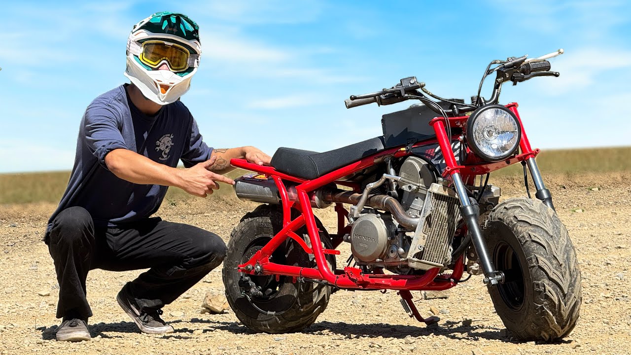I 450-swapped my mini bike