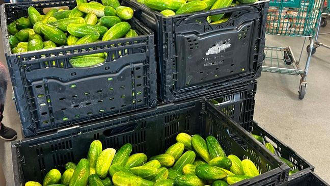 Paul's Pantry receives surprise donation of 18 pallets of cucumbers ...