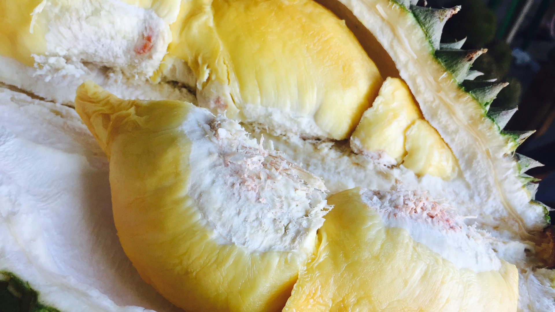 10 foods that are acquired tastes & 10 everybody likes on the first bite