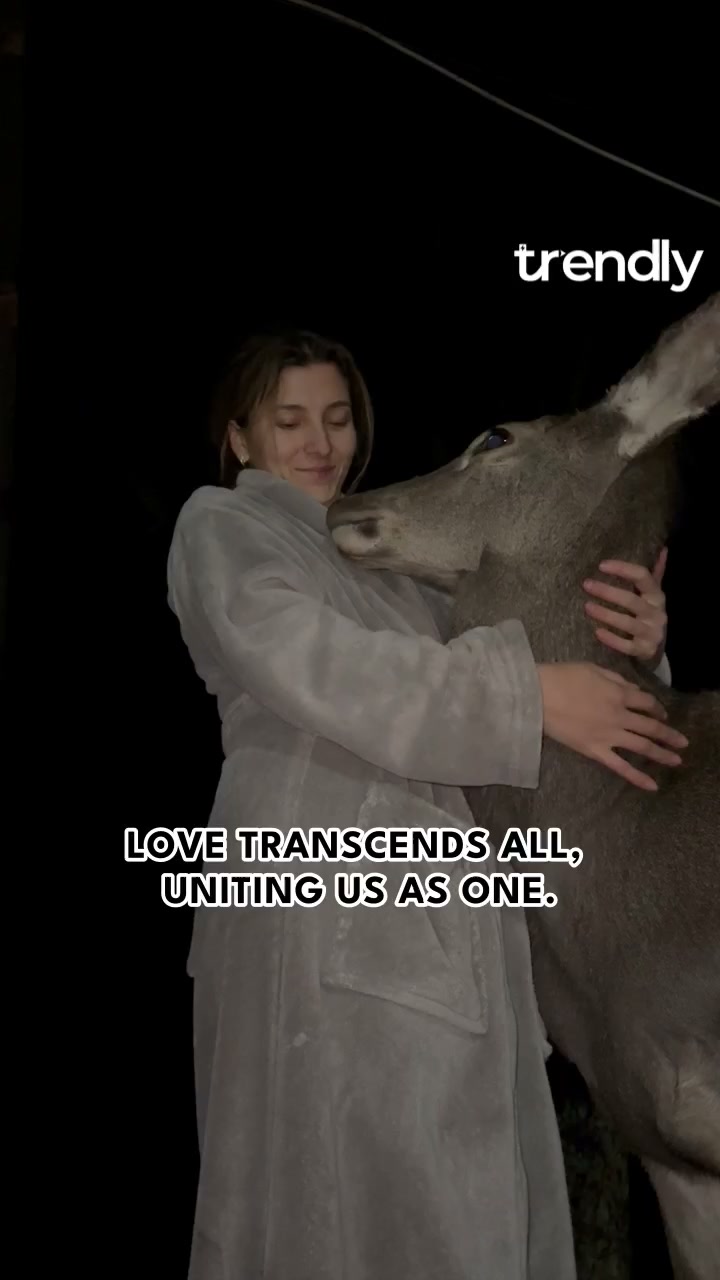 Touching encounter: Woman embraces a deer beneath the starry night