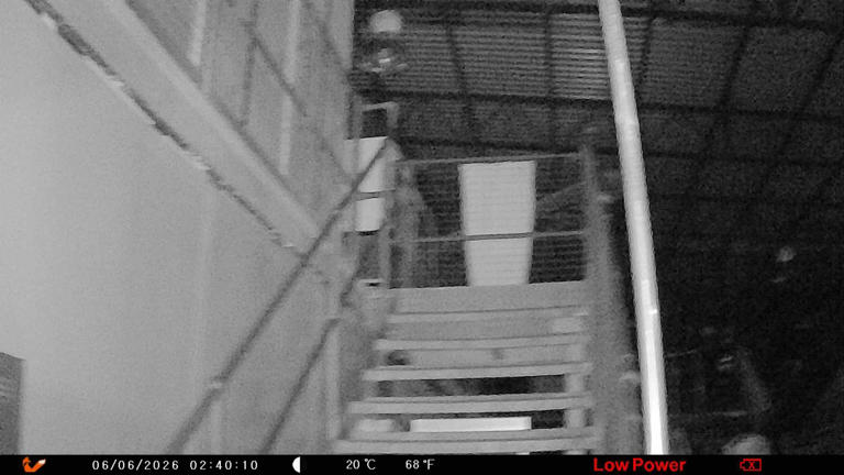 Ghostly figure caught on camera by paranormal team at Doncaster museum