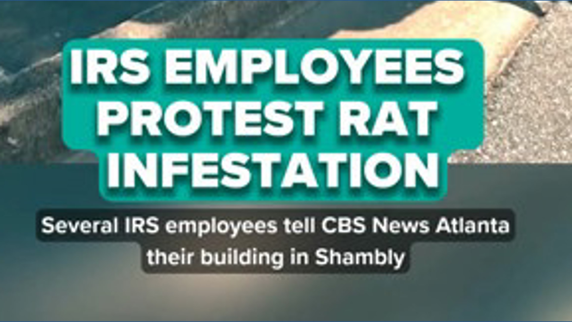 IRS employees protest rat infestation