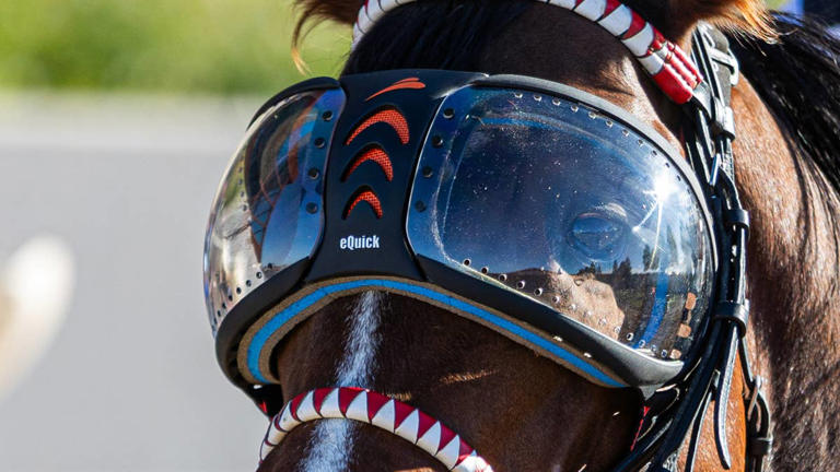 Report: Trawlerman aided by goggles ahead of Royal Ascot Gold Cup ...