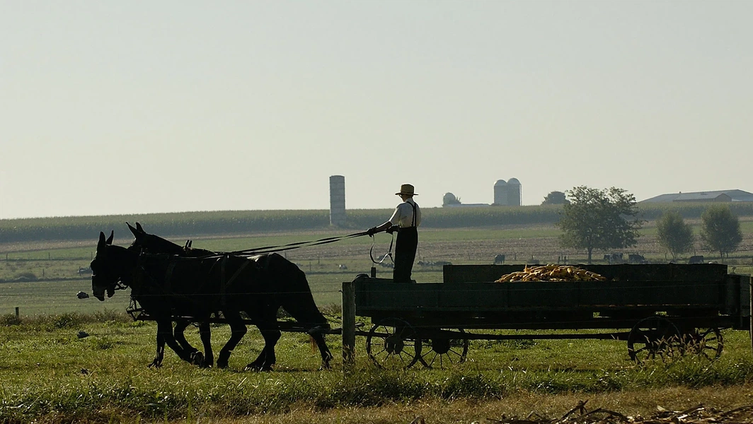 10 traditional Amish occupations and crafts
