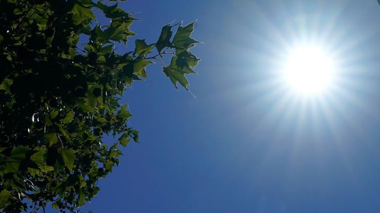 Heat advisory issued for Eugene area June 14-16; highs expected to top ...