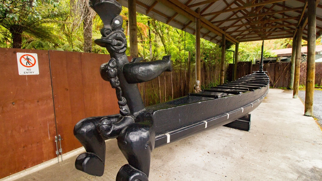 Māori history, culture, and contemporary challenges