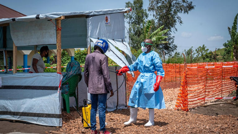 Expert explains how tepid US response aided Ebola spread in Congo