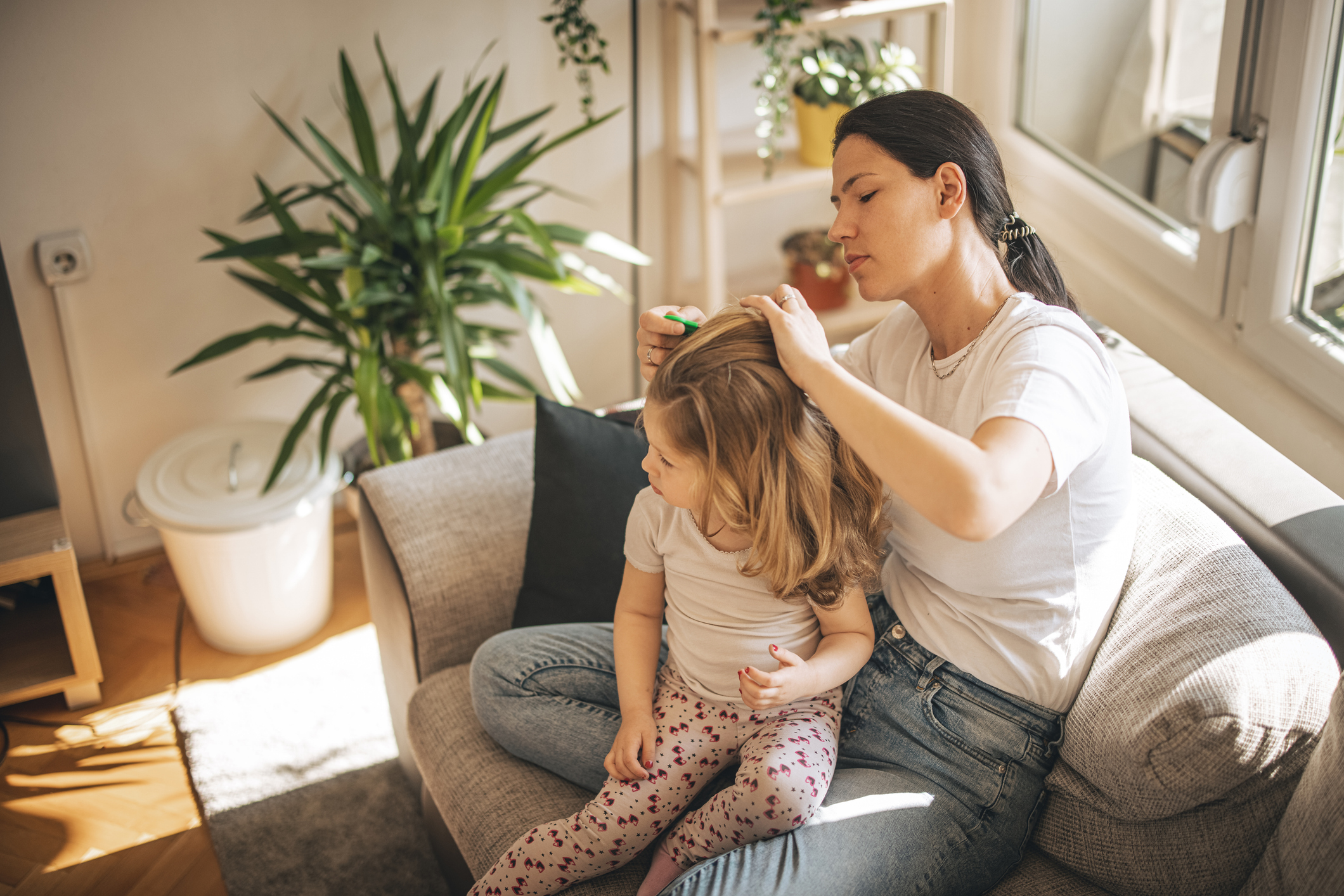 Everything you think you know about lice is wrong