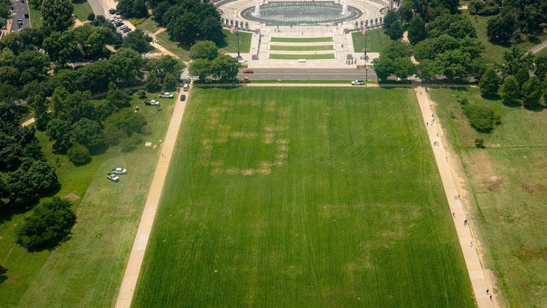 'Deranged message' on National Mall sparks police probe as Trump ...