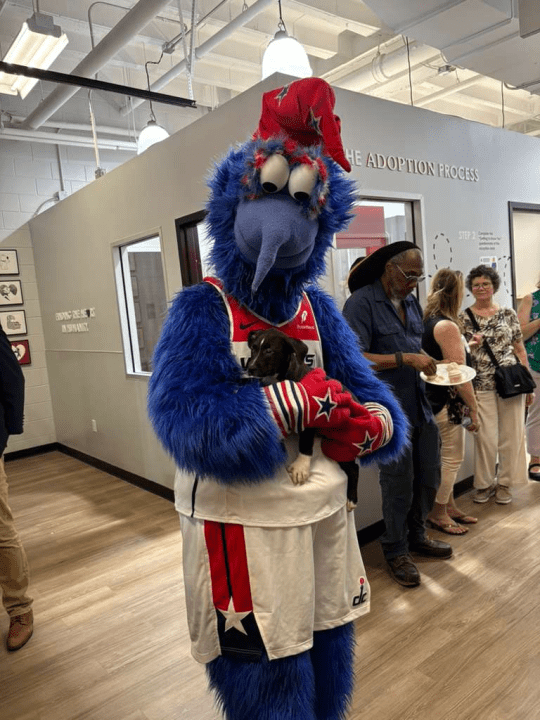 New animal shelter opens its doors in Ivy City in NE DC; adoption fees ...
