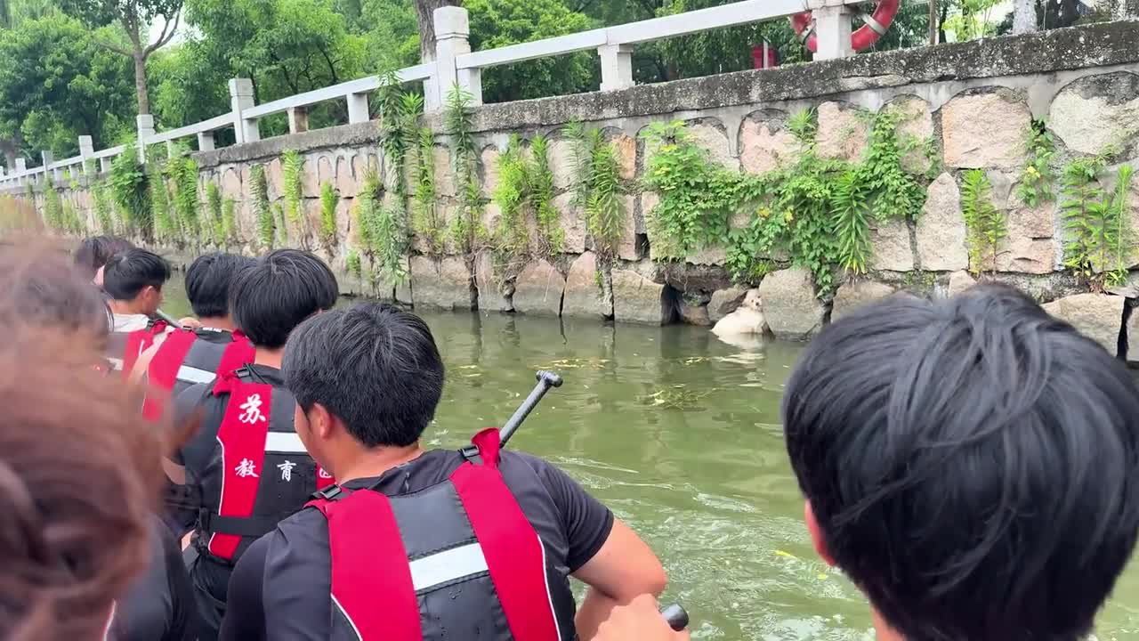 Dragon boat crew rescues stranded dog from river in Jiangsu, China