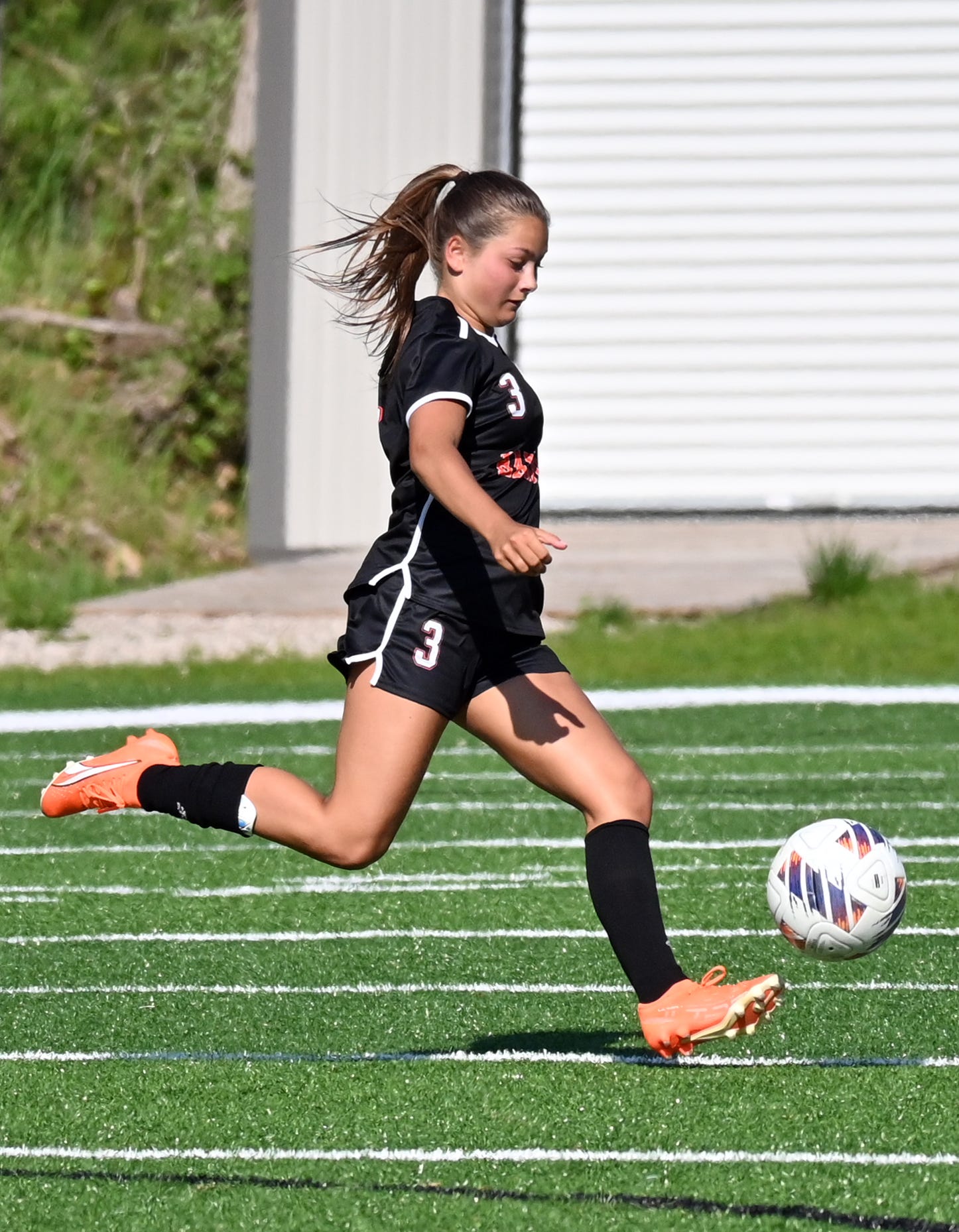 Harbor Springs girls soccer beats Royal Oak Shrine for D-4 state title
