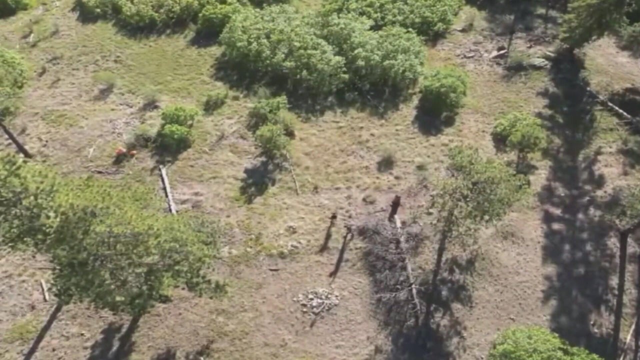 Lost hikers rescued near Bear Mountain in Douglas County