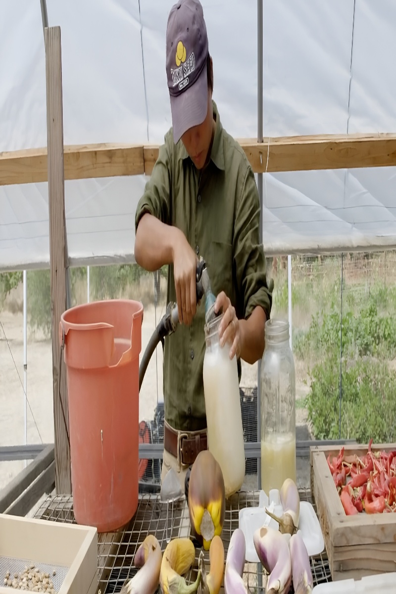 How farming helped Kristyn Leach reconnect with her roots