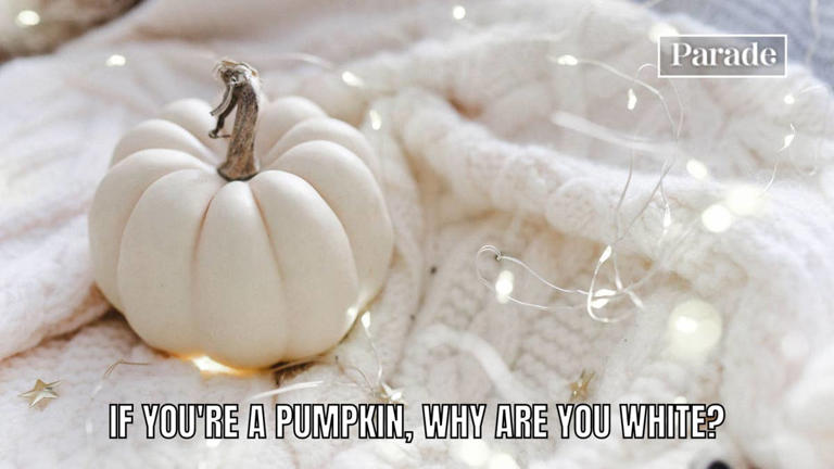 30 iconic Mean Girls memes that will make you laugh