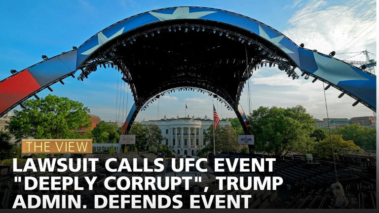 The View's Ana Navarro brands planned UFC event a 'desecration of the ...