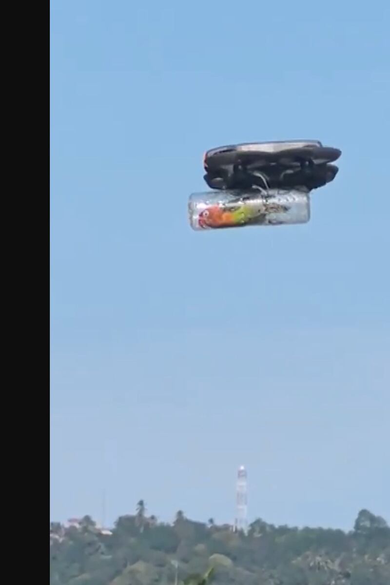 Tecnología con propósito: Cómo un dron diseñado a medida permitió a un ...