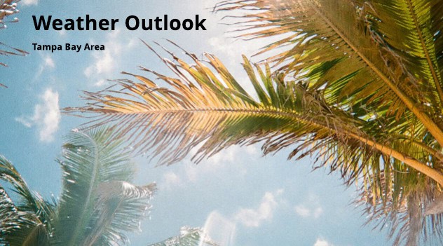 Tampa Bay set for weekend 101-degree heat index and clockwork storms