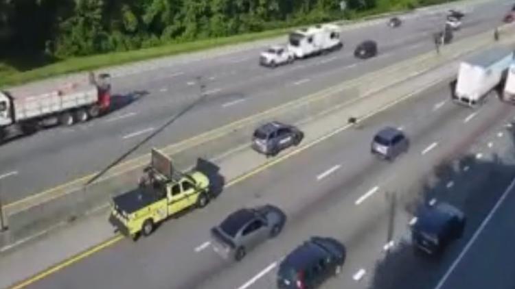 Bear cub killed after being hit by car on I-40 in Knoxville