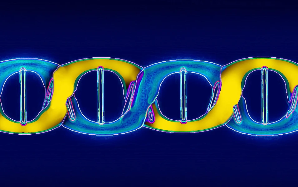 Study reveals enhancers pre-wire genes before activation in embryos
