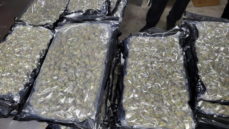 Border Patrol seizes more than 1,600 pounds of marijuana labeled as ...