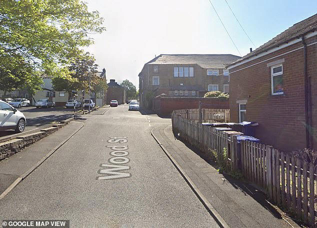 Girl, 17, is stabbed in the neck on residential street: Armed police ...