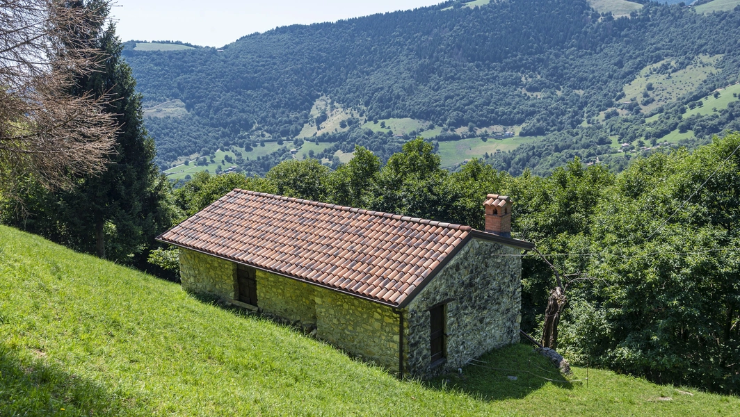 Farm stays across Italy's scenic regions