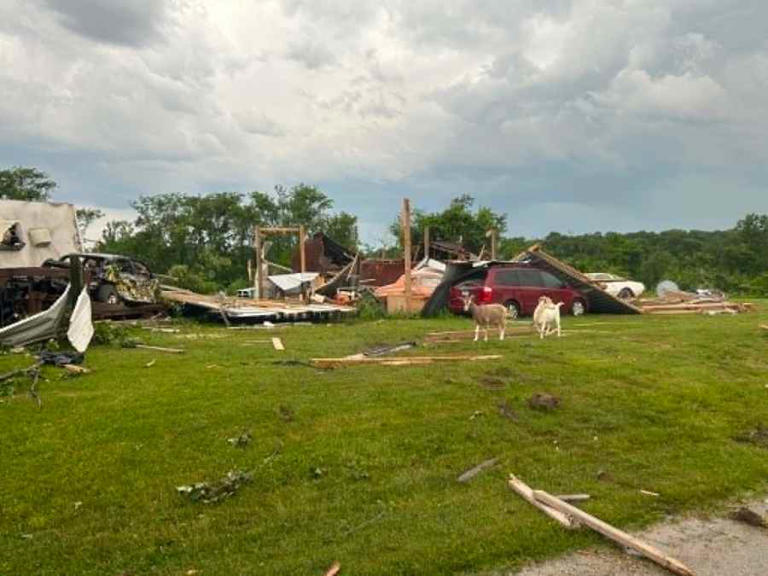 Updated: Thousands without power as powerful storms knock down lines, trees