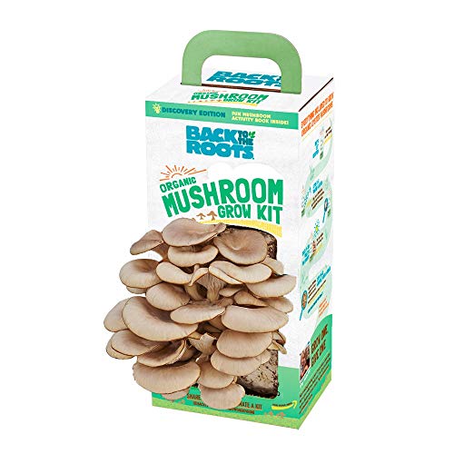 We found the best mushroom growing kits for an at-home garden
