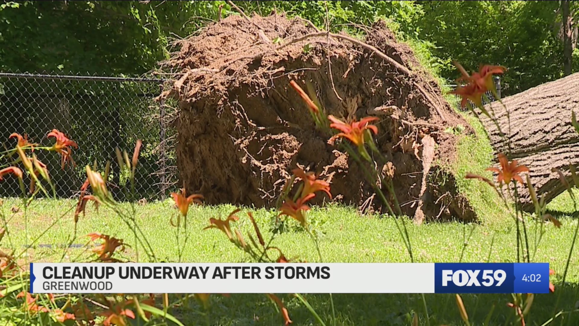 Neighbors in Greenwood survey storm damage, begin cleanup