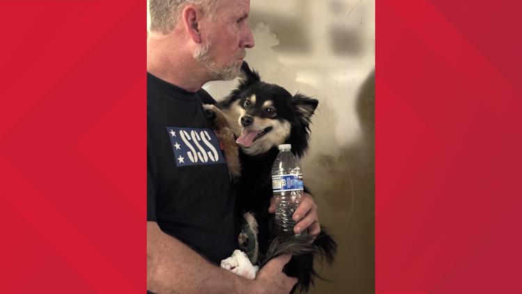 Harrowing tail: Dog rescued after getting trapped in escalator