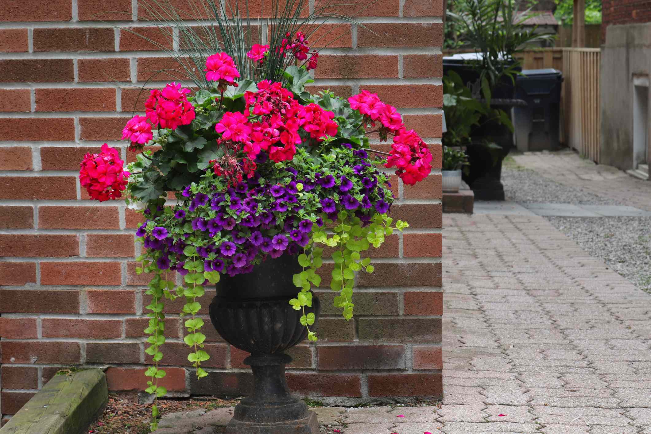 The "thriller, filler, spiller" method is the secret to a gorgeous ...