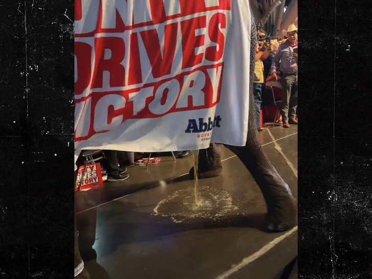 Elephant pees at Texas GOP convention, on video