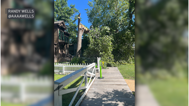 Final ‘witness tree' outside Abe Lincolns' Springfield home destroyed ...