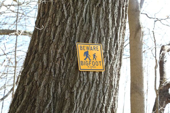 Bigfoot sightings surge across Canada as 'massive figure with earthy ...