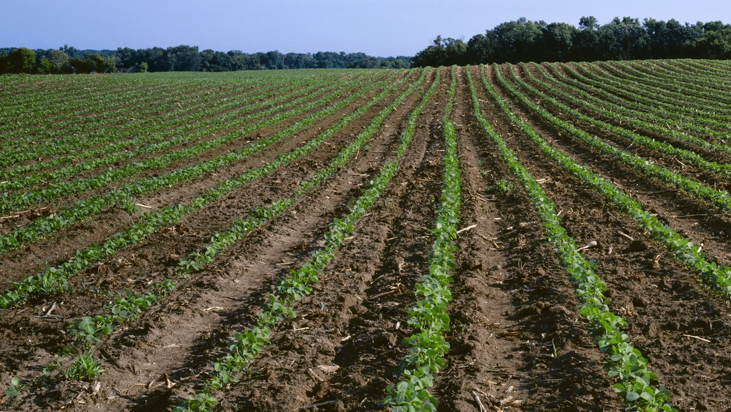 Restoring soil health with regenerative farming practices