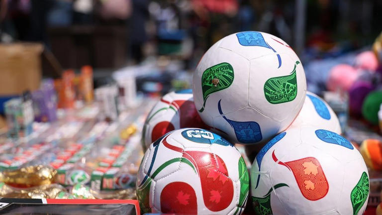Albany County invites public to family-friendly World Cup watch party