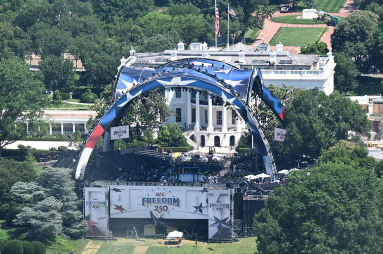 Pilot claims he was nearly blinded by UFC White House lighting and ...