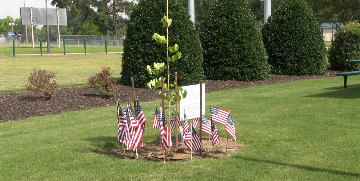 Daughters of the American Revolution plants Liberty Tree outside ...