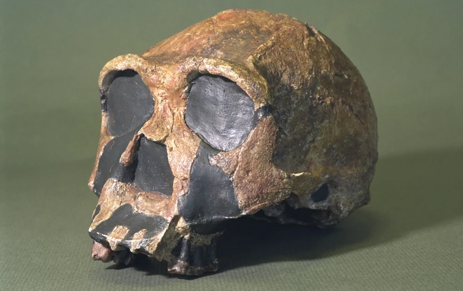 How ancient skulls are rewriting human history