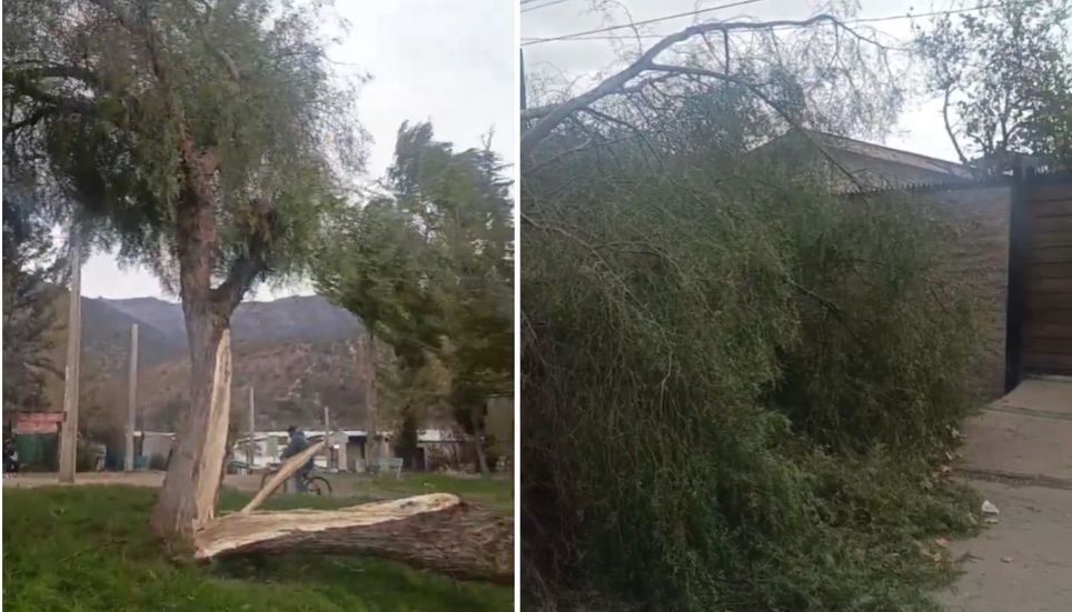 Viento raco golpea a la RM: fuertes rachas dejan árboles caídos y más ...