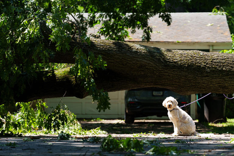 South Bend area spared worst storm damage; weather improving next week