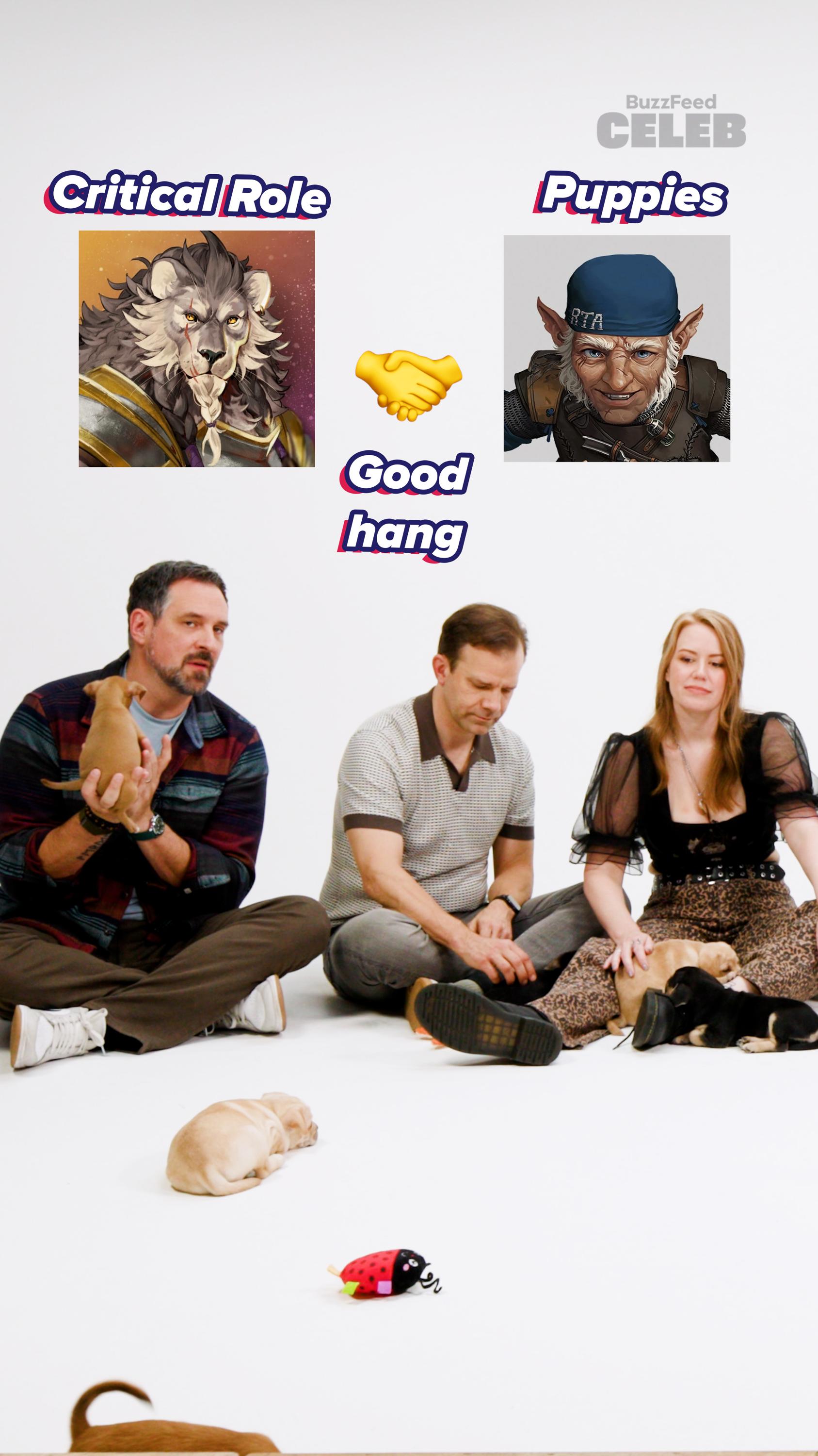 Critical Role cast: The puppy interview | Character hangout