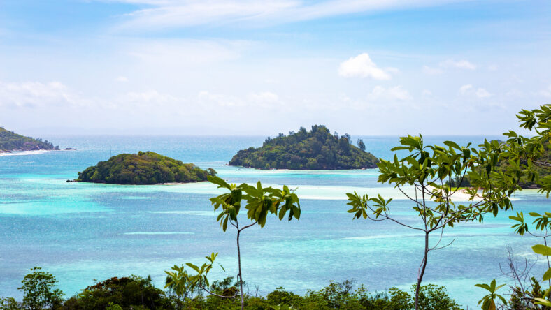 He Bought An Abandoned, Overgrown Island And Turned Into A Real-Life ...