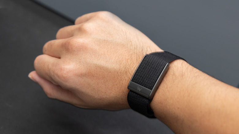 This open-source app lets you use your Whoop band without a ...
