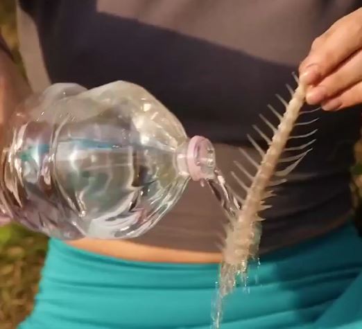 Camping hacks every adventurer should know